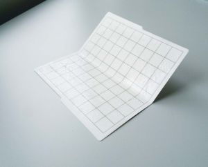 Pheromone trap types - Pherobank - Top quality pheromones